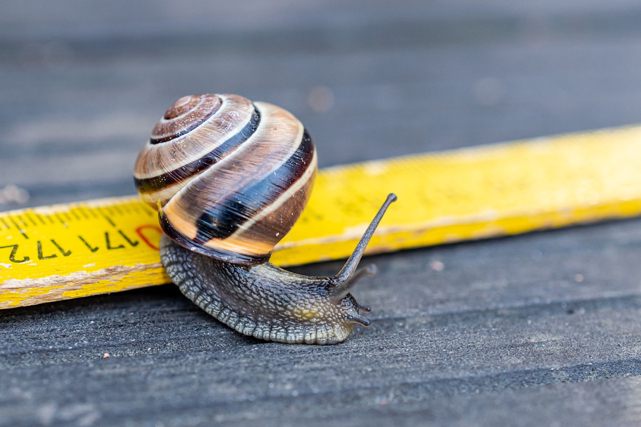 Sap Mrp Exception Messages And Managing By Exception Data Driven 3689